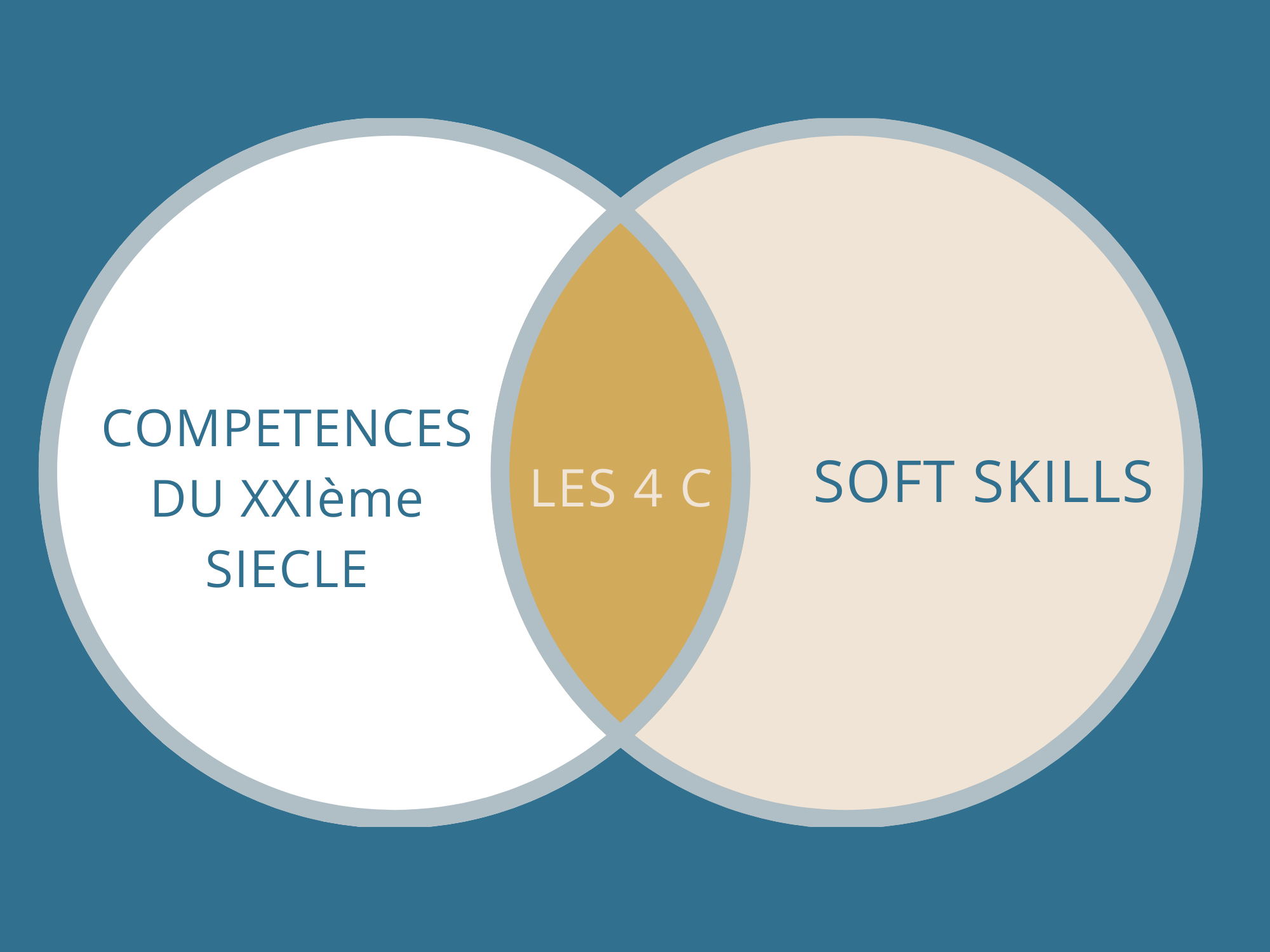 les 4 compétences transversales indispensables | Trajectoires🔆